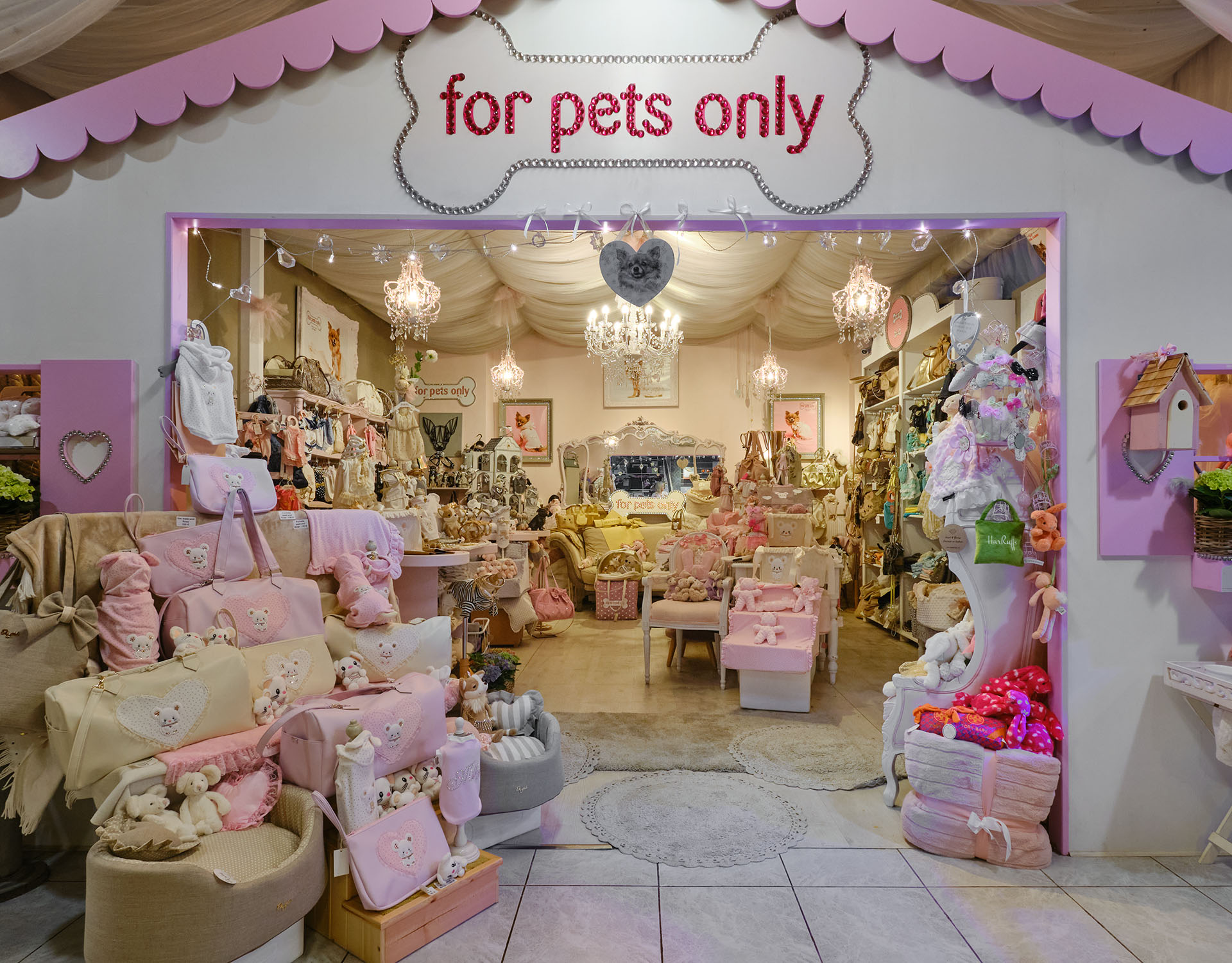 L'univers Animalier - Le paradis des chiens gâtés